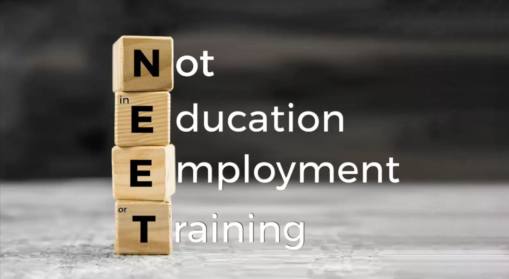 Les jeunes NEET: quelles perspectives d’inclusion socio-économique ...